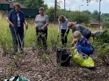 Gallery – – Sanderstead WI